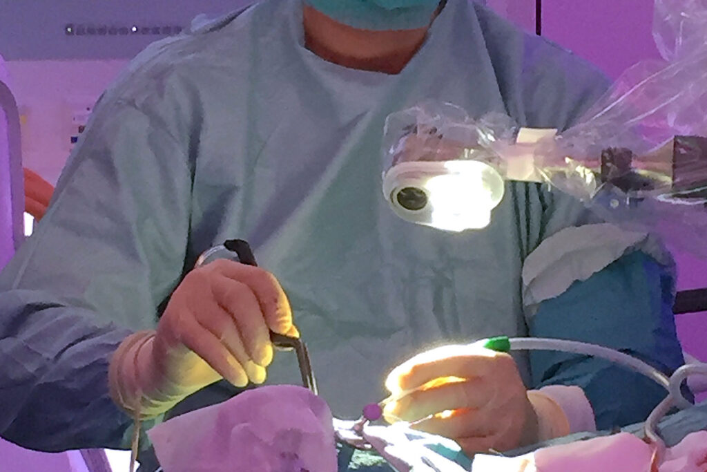 Next generation electronic operation system (NEOPS-3D) – .Zentrum für ...